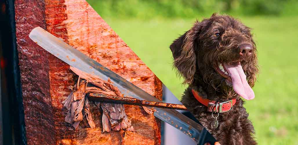 Can Dogs Have Gyro Meat? Is This Greek Snack Safe To Share?